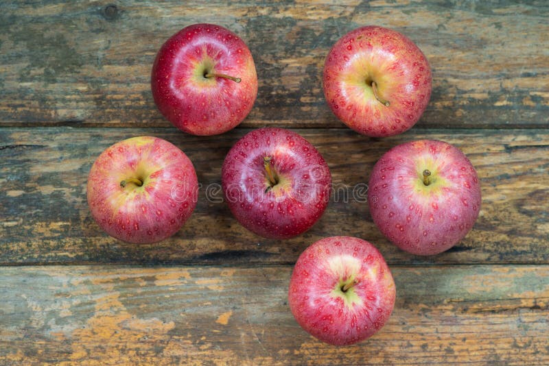 Red apples stock image. Image of healthy, autumn, health - 81040277