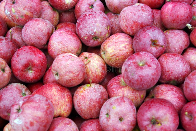 Red apples texture stock photo. Image of garden, food - 16597492