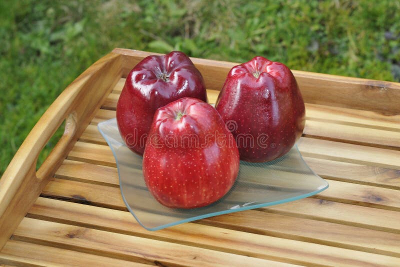 3 red apples stock image. Image of fresh, orchard, diet - 36294917