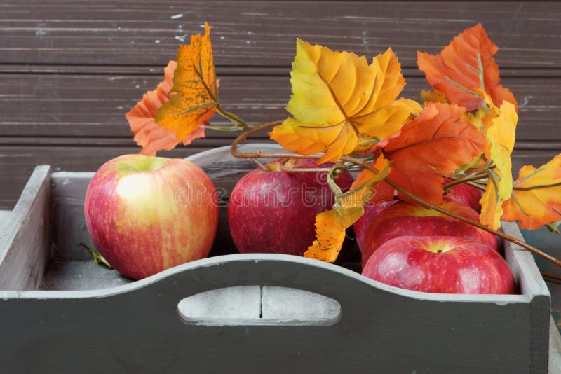 Red Apples in a Tray with Fall Decoration and Leaves Stock Photo ...