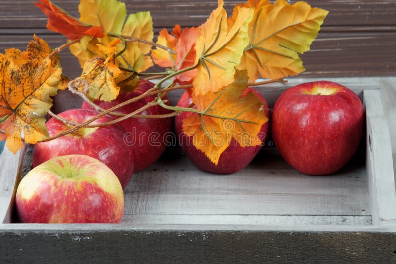 Red Apples in a Tray with Fall Decoration and Leaves Stock Photo ...