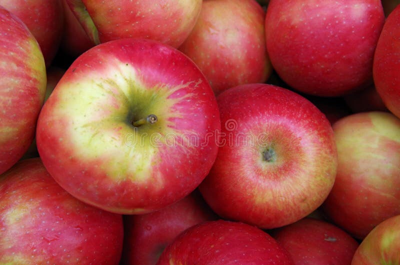 Red apples view from above stock photo. Image of yellow - 92122426