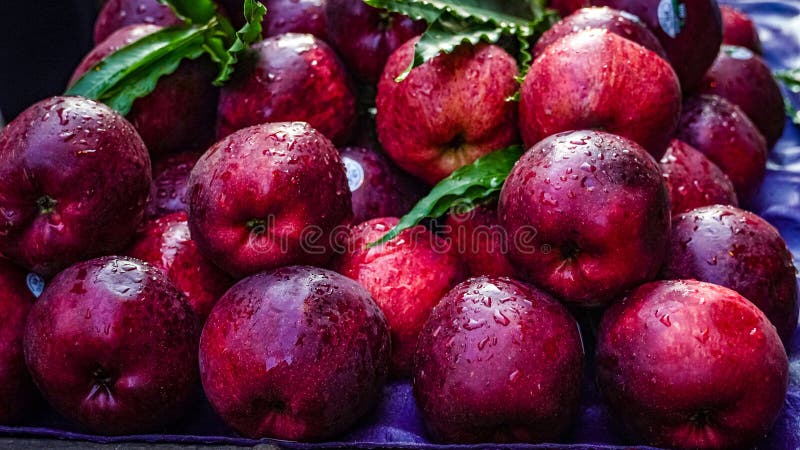 Red Apples with Water Splashed Stock Image - Image of isolated ...