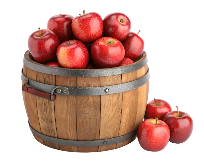 Red Apples in Wooden Barrel Isolated on White Stock Illustration ...