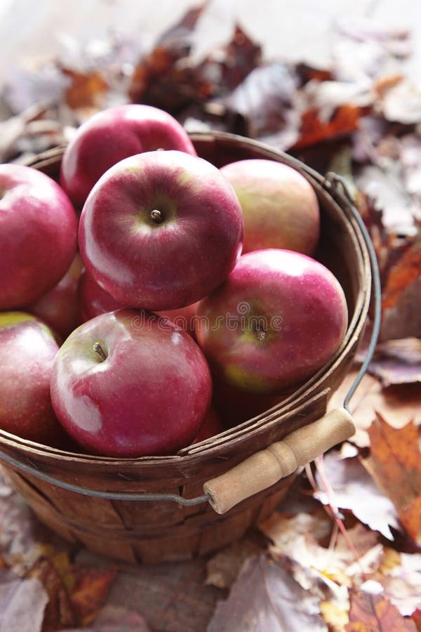 Red Apples in Wooden Basket Stock Photo - Image of health, organic ...