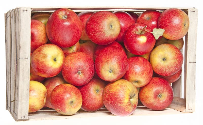 Red apples in wooden box stock photo. Image of autumn - 27219186