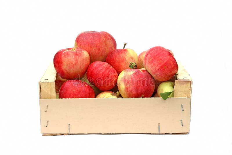 Red apples in a wooden box stock image. Image of juicy - 33460675