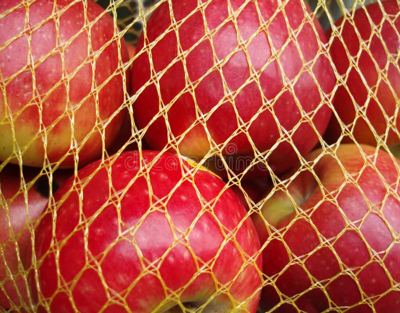 Red apples in yellow net stock photo. Image of seasonal - 263826