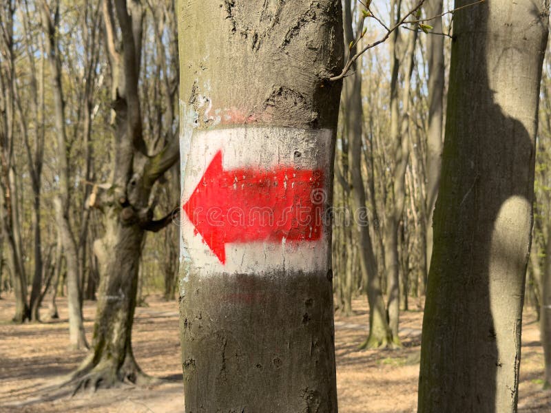 Red Arrow Mark Tree Forest Direction Indicator Stock Photos - Free ...