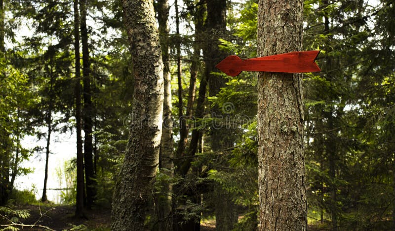 Red Arrow Pointer Made of Wood on a Tree in the Forest Stock Photo ...