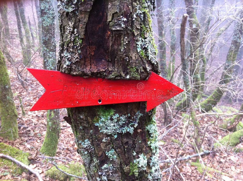 Red arrow stock photo. Image of brown, showing, winter - 82562738