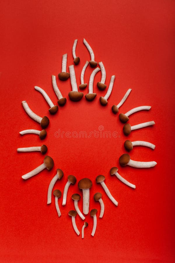 Red Autumn Background with Mushrooms, Frame, Blank for Advertising ...