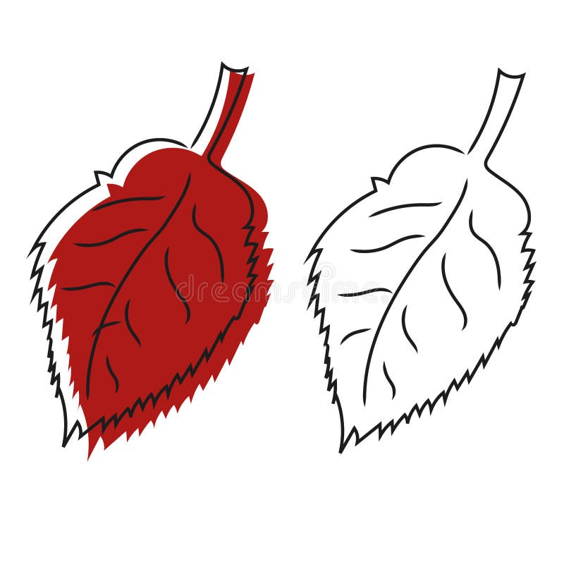 Red Autumn Leaf and Outline Doodle Leaf. Stock Illustration ...