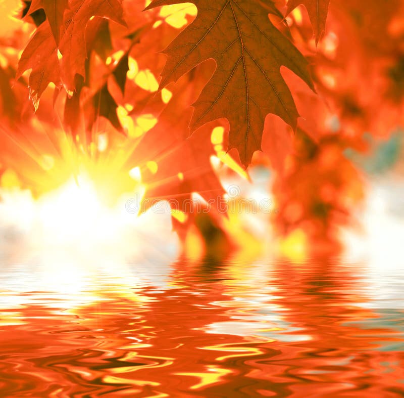 Red autumn leaves stock image. Image of lush, autumn, organic - 6572589