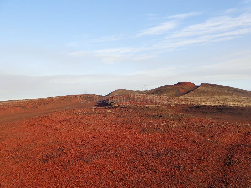 Red autumn moss stock image. Image of autumn, nature - 152707935