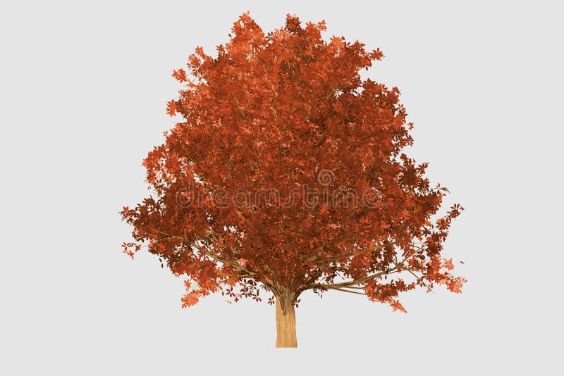 Red Autumn Oak Tree 3D Rendering Stock Illustration - Illustration of ...