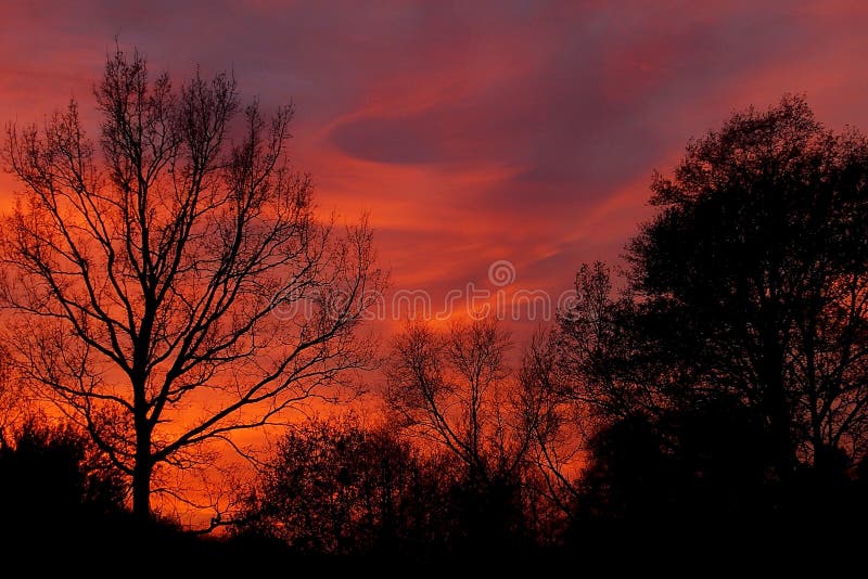 Red Autumn Sky during Sunset with Black Shapes of Leafless Trees Stock ...