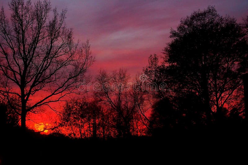 Red Autumn Sky during Sunset with Black Shapes of Leafless Trees Stock ...