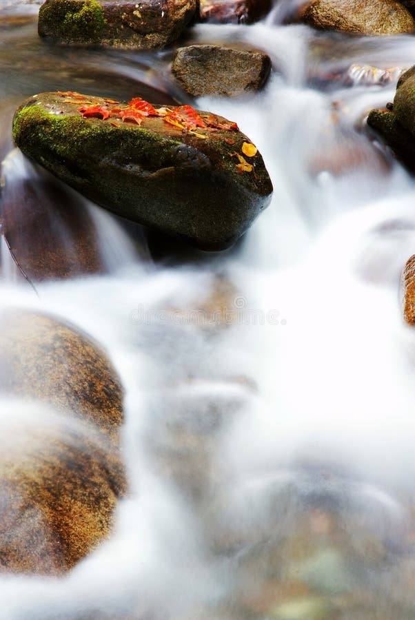 Red Autumnal Leaves and Stream Stock Image - Image of stone, mountain ...