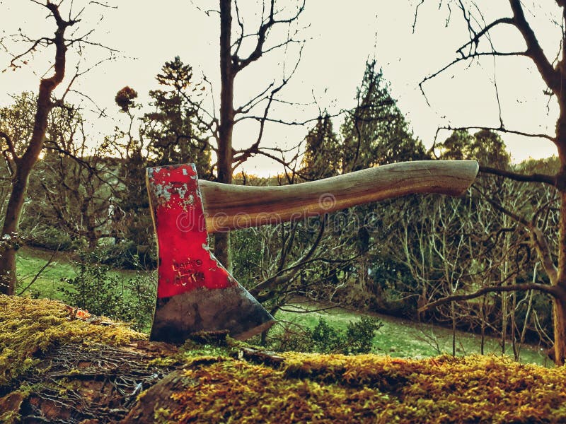 Red axe in log stock photo. Image of tree, wood, plant - 116116844