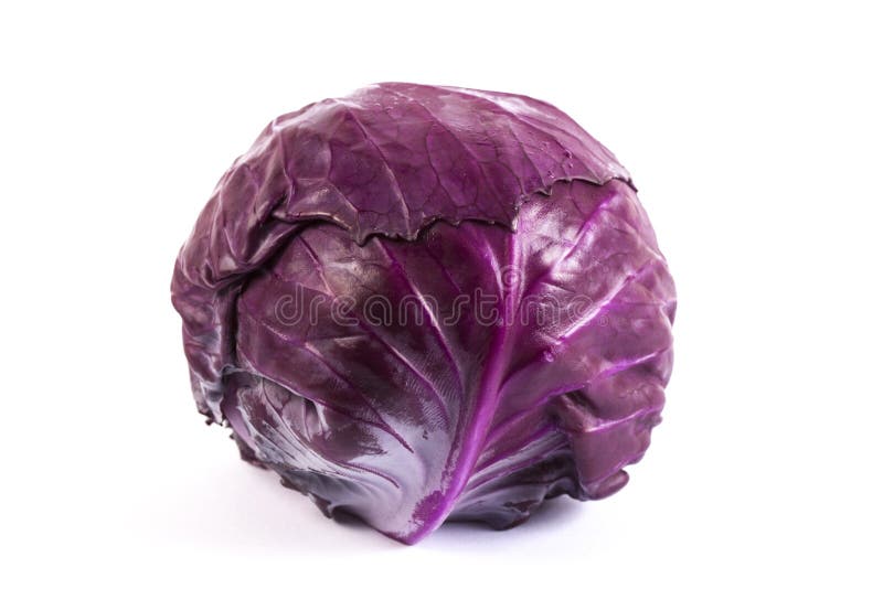 Red Baby Cabbage on White Background Stock Image - Image of food ...