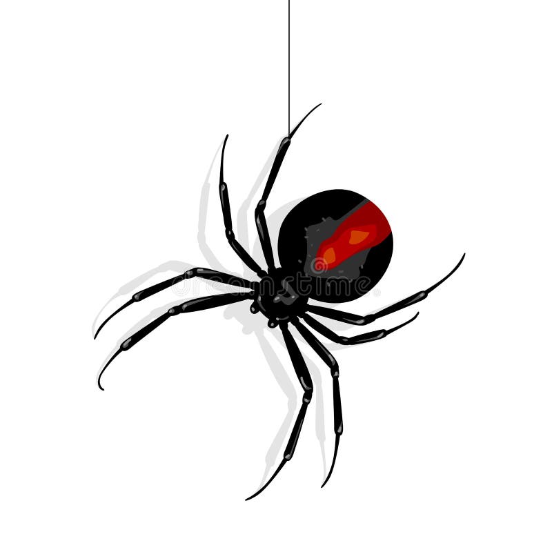 A spider back stock illustration. Illustration of silhouette - 45150972