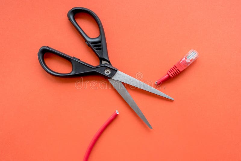 On a Red Background the Internet Cable with the Connector is Cut into ...