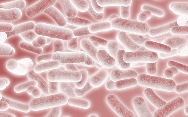 Red Bacteria stock illustration. Illustration of magnification - 17444868