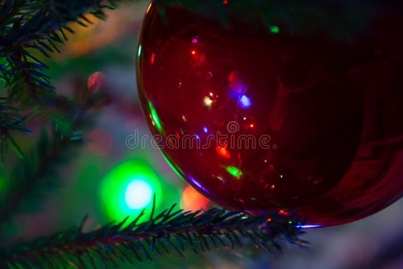 Red Ball on Christmas Tree with Reflection of Photographer Stock Image ...