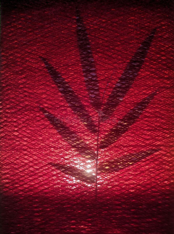 Bamboo Leaves in Old Red Umbrella Stock Photo - Image of garden, bamboo ...