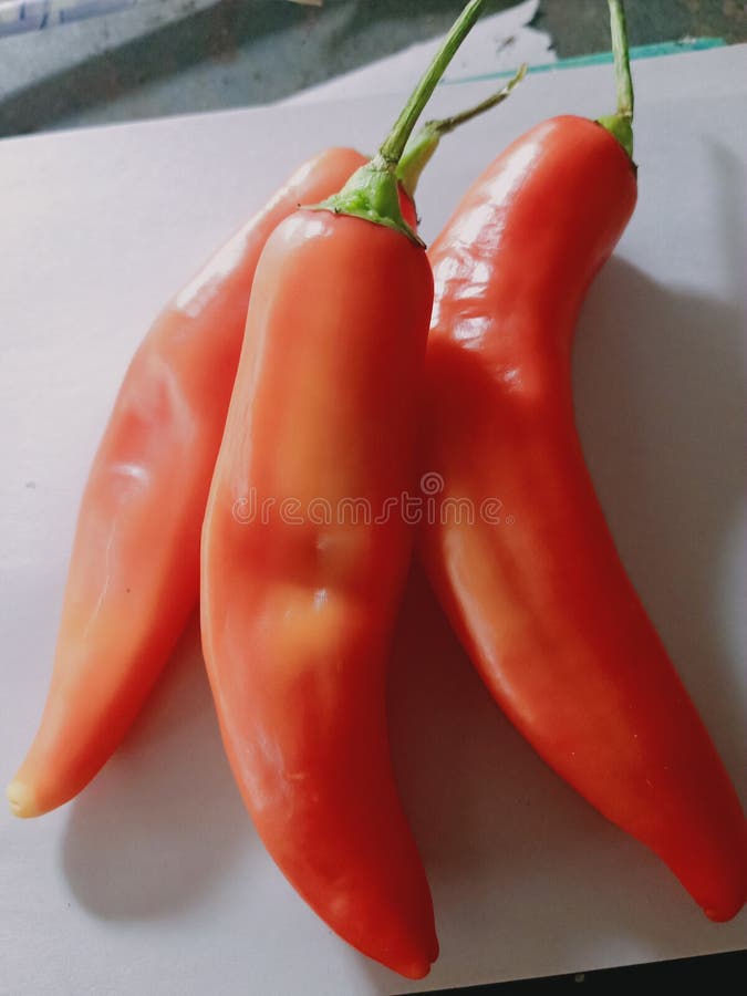 690 Finger Chilli Red Stock Photos - Free & Royalty-Free Stock Photos ...