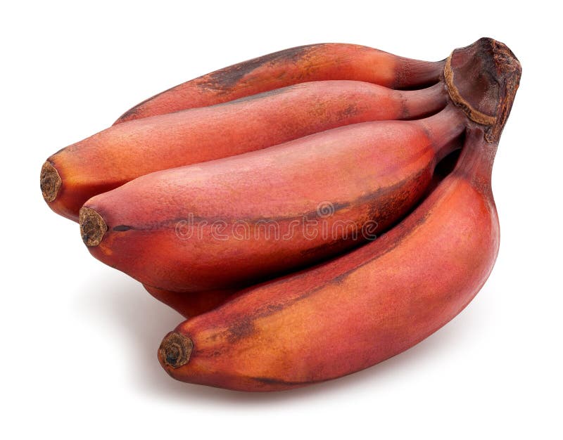 Red banana path isolated stock photo. Image of white - 234606088
