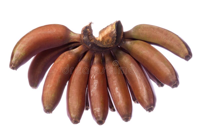 Red Bananas Isolated stock image. Image of snacks, macro - 9217477