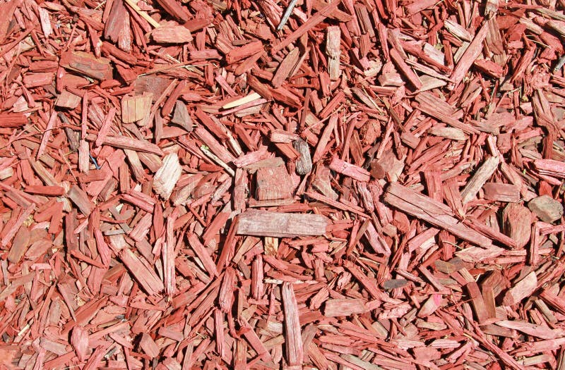 Red Bark stock photo. Image of soil, chips, branch, dark - 15615074