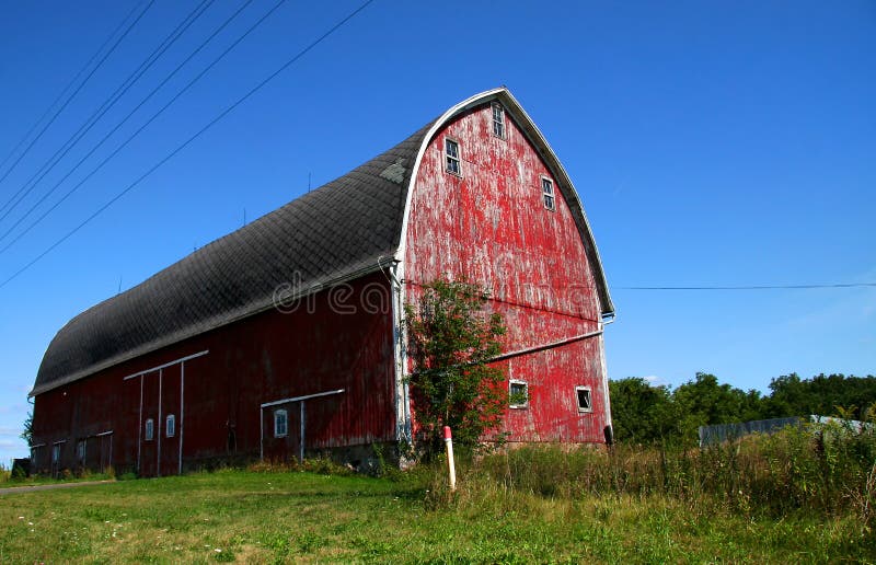 Red Barn stock photo. Image of fields, dairy, wide, scenic - 11457502