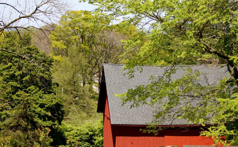 Red Barn stock photo. Image of barn, trees, wood, green - 24566878