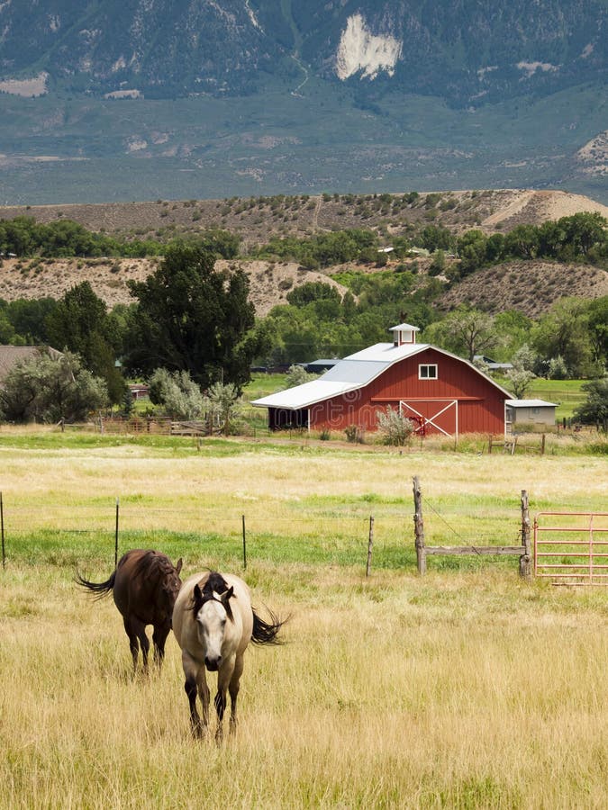 Red Barn stock photo. Image of farm, grand, western, colorado - 25650724