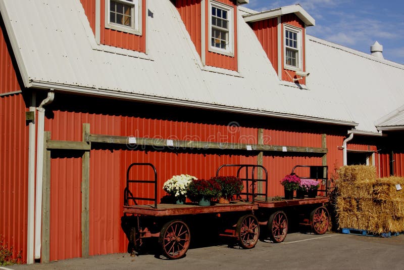 General store editorial stock image. Image of smile, england - 874079