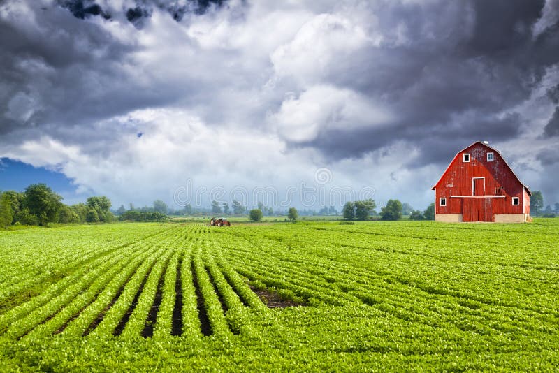American Countryside stock image. Image of clean, agricultural - 30049629