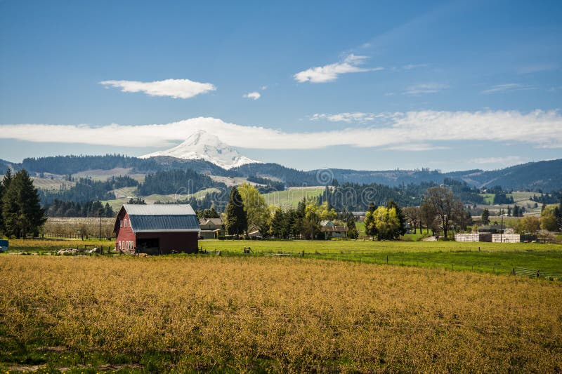 Red Barn, Apple Trees, Michigan Stock Image - Image of building, farm ...
