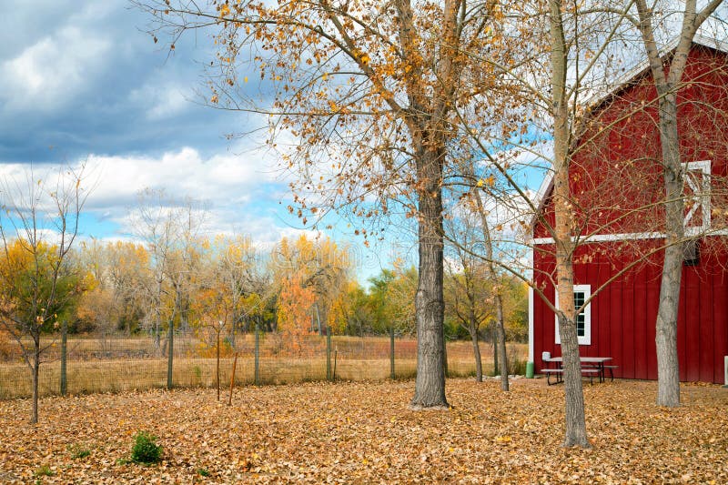 Red Barn in Autumn stock photo. Image of farmland, wooden - 96555740