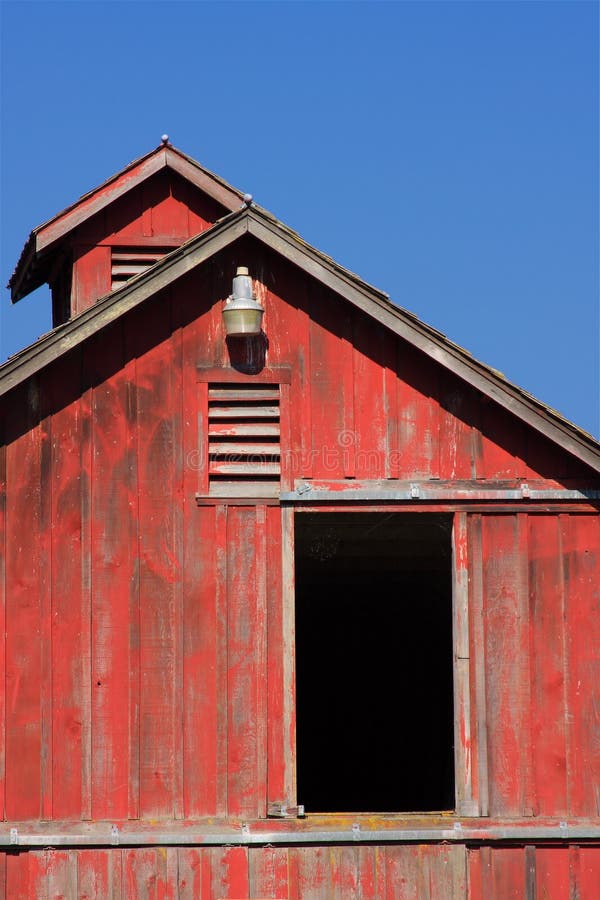 Barn Cupola with Cow Weathervane Stock Photo - Image of vane, cupola ...