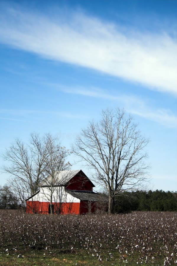 Red Barn in Cotton Field stock photo. Image of travel - 1849110