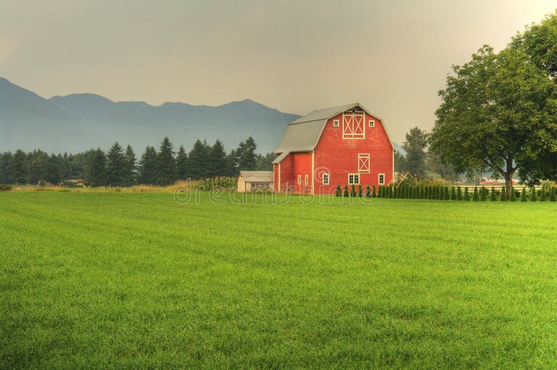 Red Minnesota Barn stock image. Image of agriculture, trees - 6273807