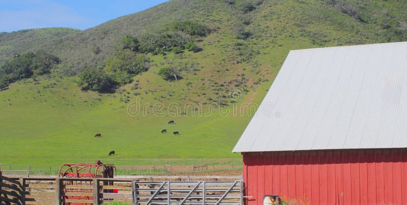 Red barn cows stock image. Image of landscape, barns - 54375065