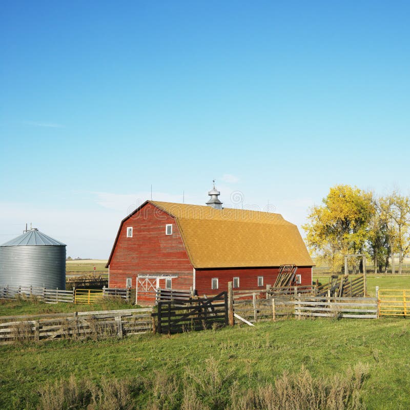 Corn Field in Front of Red Barn Stock Photo - Image of features ...