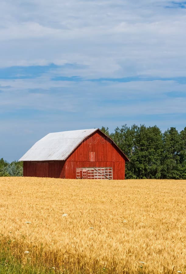 Amish Farm - Red Barn and Green Field Sunrise Stock Photo - Image of ...