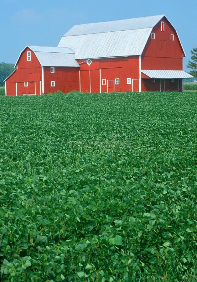 Red barn with green field stock image. Image of plants - 23150489