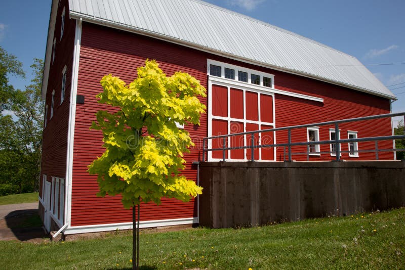 Red barn green tree stock image. Image of barn, agriculture - 97384729