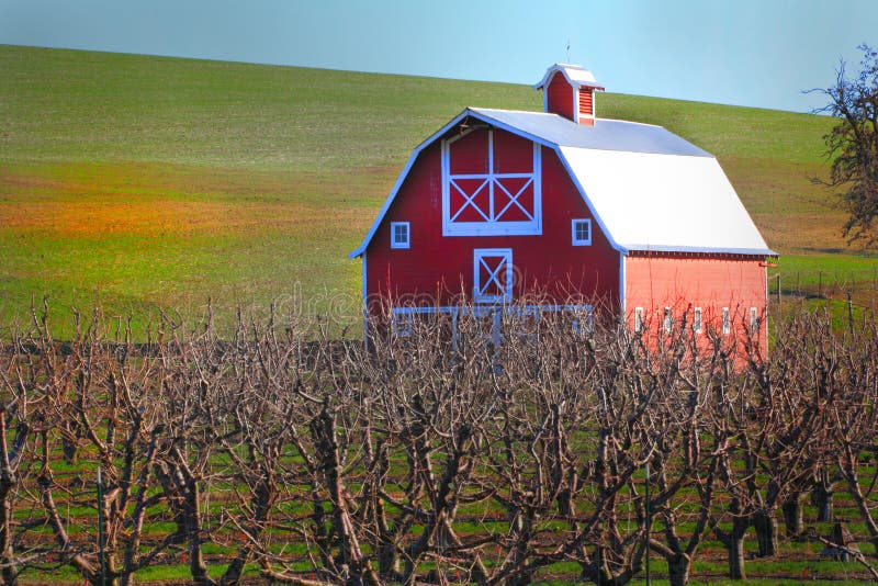 Red Barn and Orchard stock photo. Image of nice, doors - 59789270